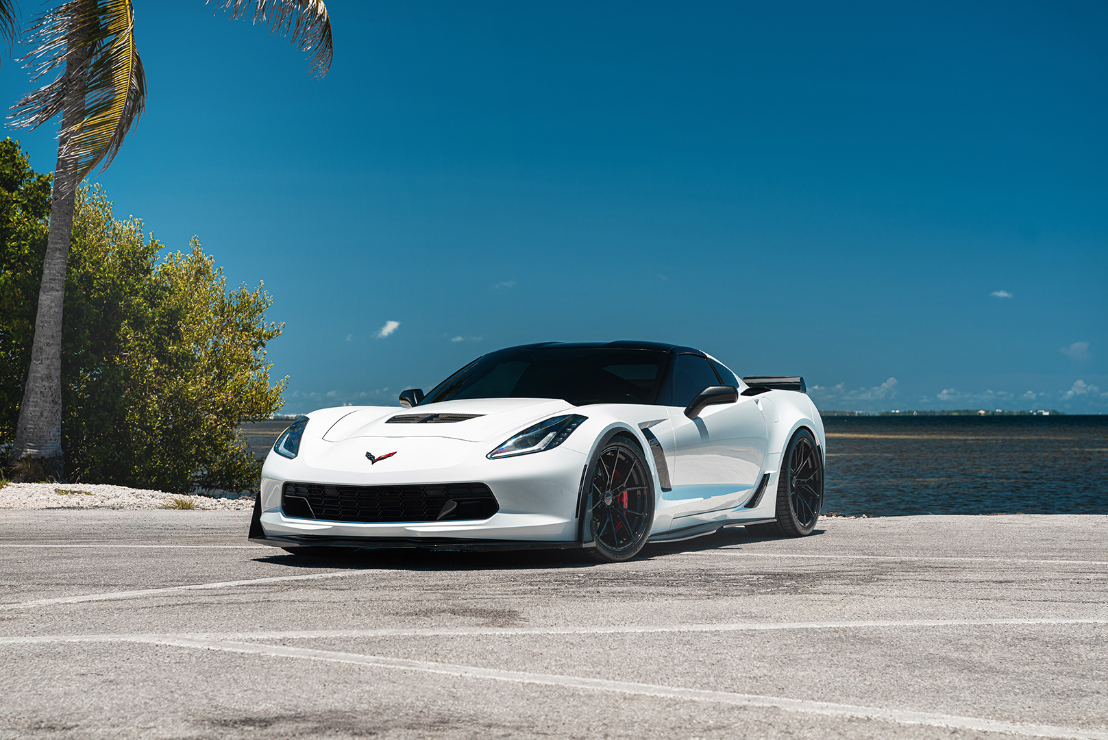 2016 C7 Z06 in White on Daytona Gloss Black | E5 Gallery