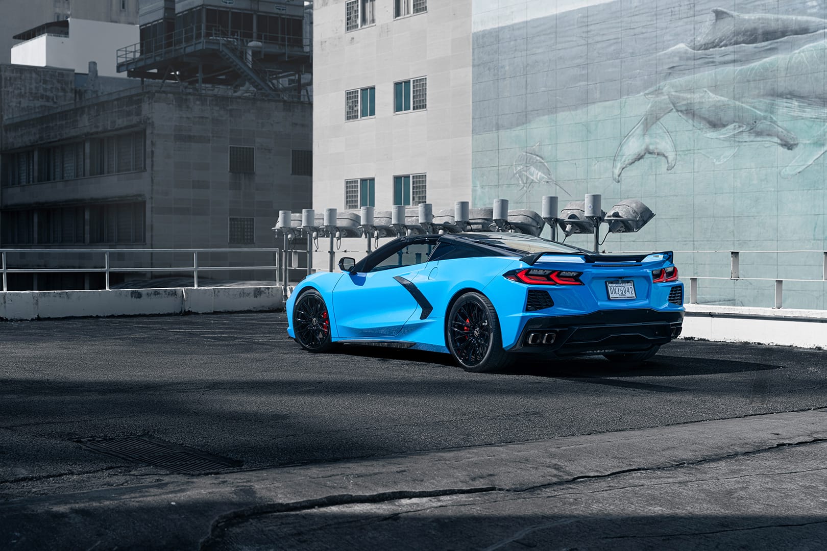 2023 C8 Stingray Rapid Blue on Sebring Gloss Black | E5